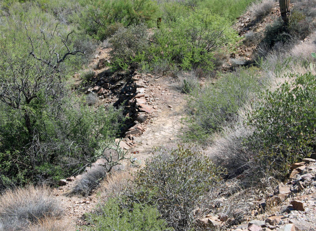 Magma Arizona Railroad NG