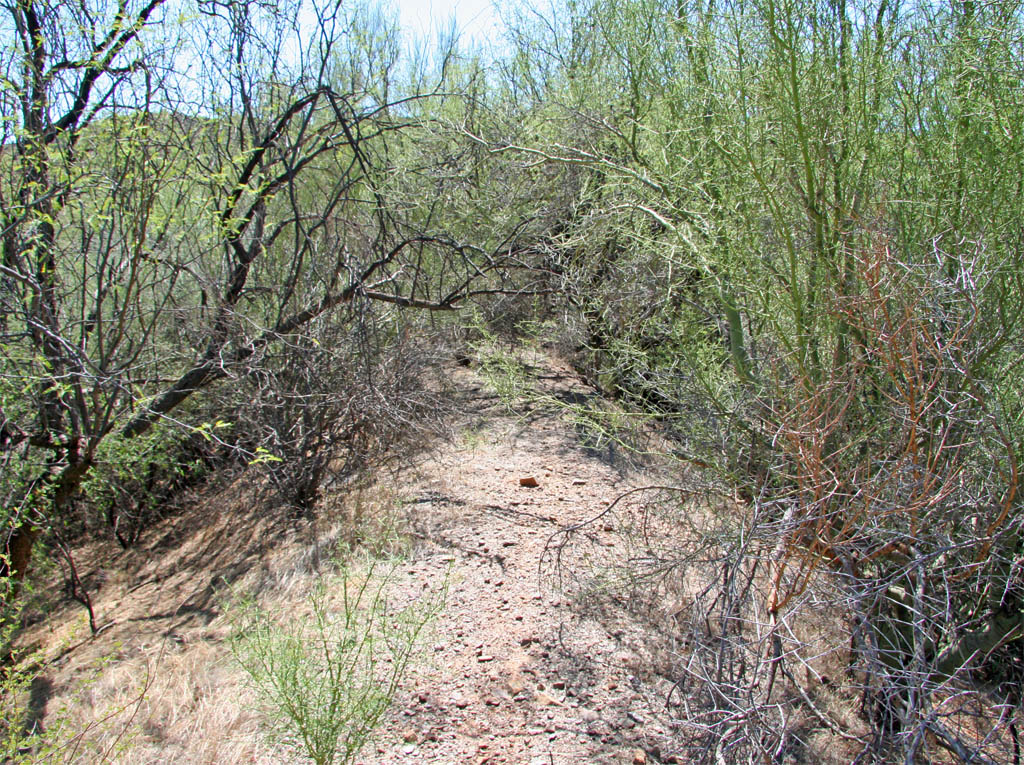 Magma Arizona Railroad NG