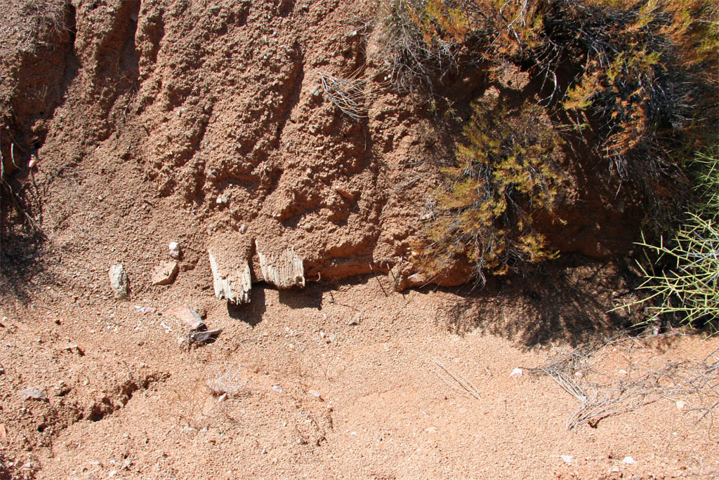 Magma Arizona Railroad NG