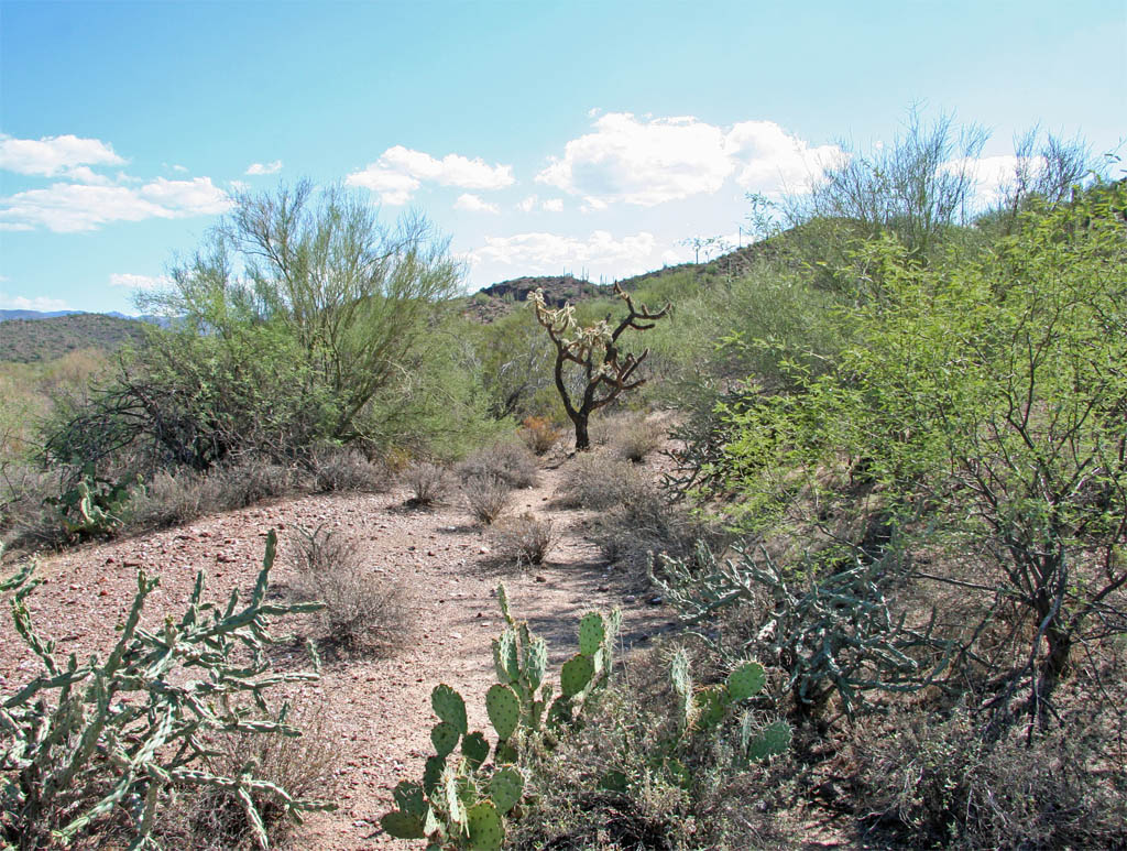 Magma Arizona Railroad NG